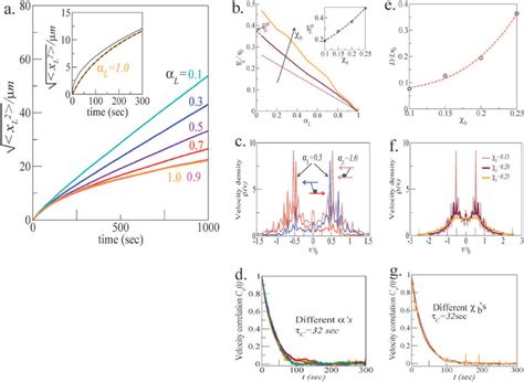 Diffusion Drift Dynamics Of Loosely Connected Bundles With The Unipolar