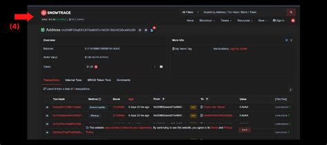 Using A Blockchain Explorer With Polygonscan