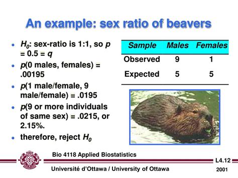 Ppt Lecture 4 Fitting Distributions Goodness Of Fit Powerpoint Presentation Id621828