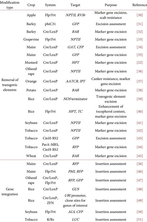The Application Of Site Specific Recombination System In Targeted Gene
