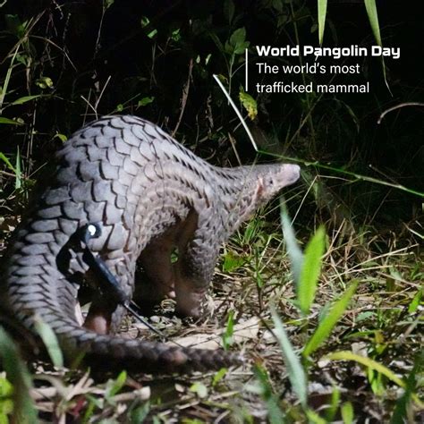 Advanced Telemetry Systems Inc On Linkedin Love Seeing Success Tracking These Vulnerable