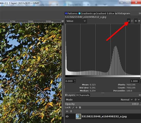 About Average Of Histogram GIMP Discuss Pixls Us