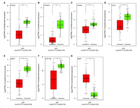 Validation Of The Identified Genes Expression Levels In The Tcga
