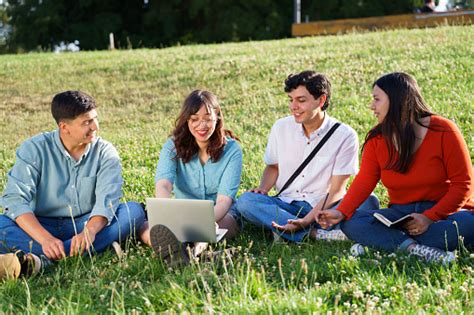 공원에서 야외에서 노트북을 사용하여 프로젝트를 공동 작업하는 학생들 20 24세에 대한 스톡 사진 및 기타 이미지 20 24