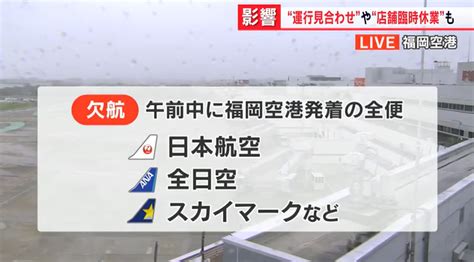 台风南玛都已致日本61人受伤树木电线杆接连折断 34万户家庭停电 大河网