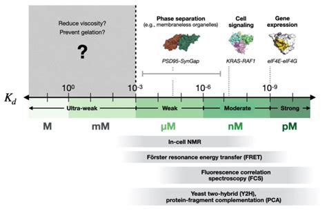 Protein Protein Interactions Are Important Across All Measurable