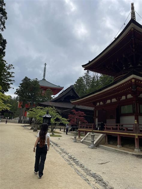 天空の聖地 高野山（摩尼山・楊柳山・転軸山） ほしとも ︎さんの高野参詣道（高野山・楊柳山・雨引山）の活動データ Yamap ヤマップ