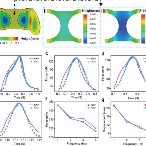 The Results Of Simulation Of The Soft‐deformable Body A The Simulated Download Scientific