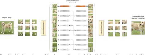 Figure 1 From Local Global Self Supervised Visual Representation