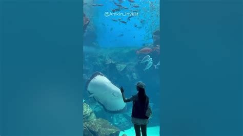 Только 3 людей смогут написать «мотивация с закрытыми глазами🙈 Youtube