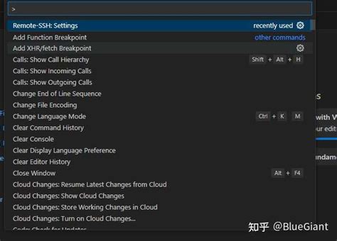 使用vscode连接远程服务器，下载了python和pylance插件后，还是找不到解释器是怎么回事？ 知乎