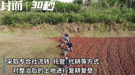 30秒｜不误农时整治撂荒地 四川宜宾长宁预计今年新增粮食播种面积3000亩以上凤凰网视频凤凰网