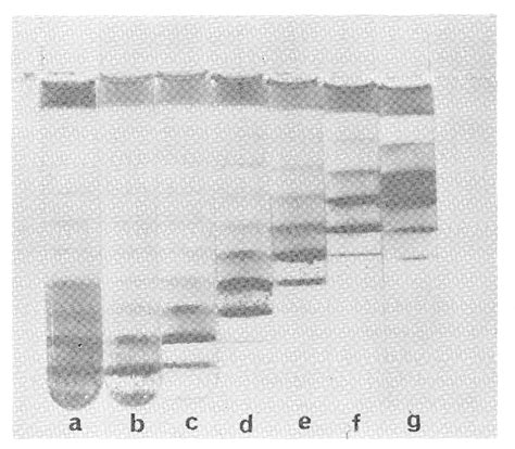 Figure 1 From Coil Planet Centrifugal And Capillary Tube Centrifugal Analysis Of Factors