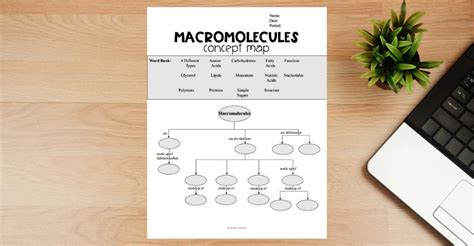 Macromolecules Concept Map