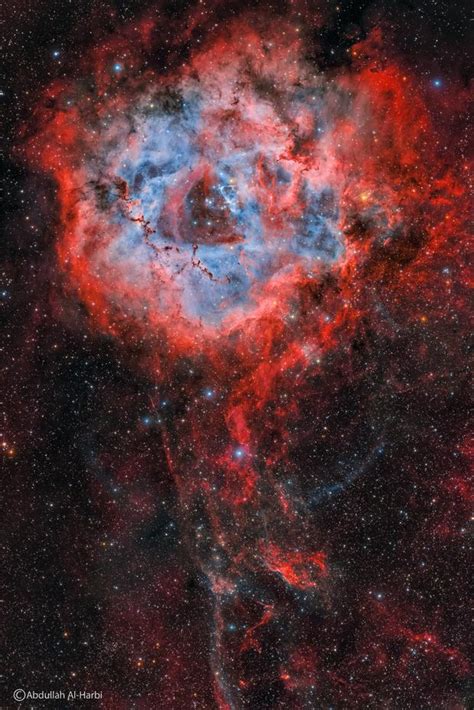 The Rosette Nebula Astrobin