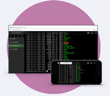 Zero Install Web Terminal Emulator Online HTML5 Terminal