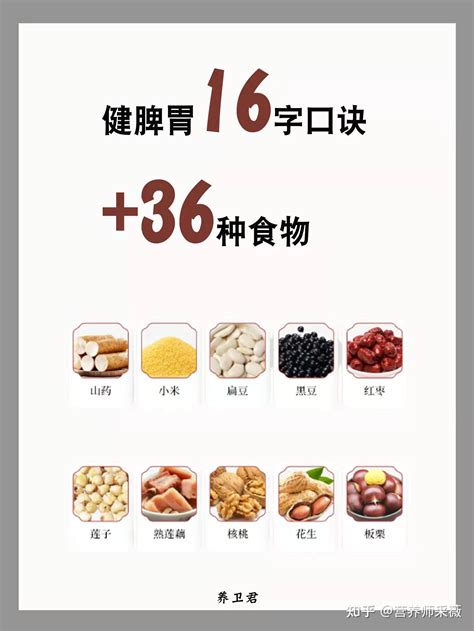 如何健脾养胃 知乎