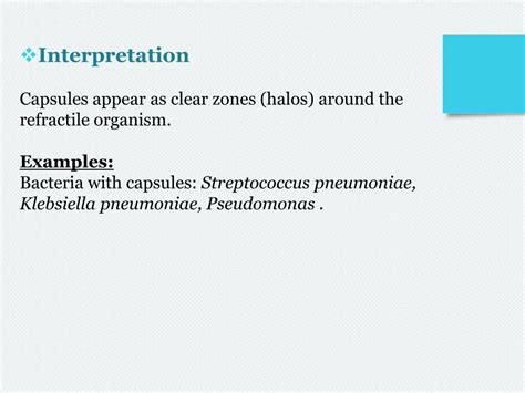 PPT Endospore Staining PowerPoint Presentation Free Download ID 1940792