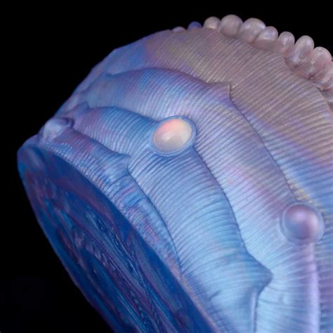 Abalone Male Fantasy Pussy Pocket