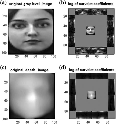Using Nonlocal Filtering And Feature Extraction Approaches In Three Dimensional Face Recognition