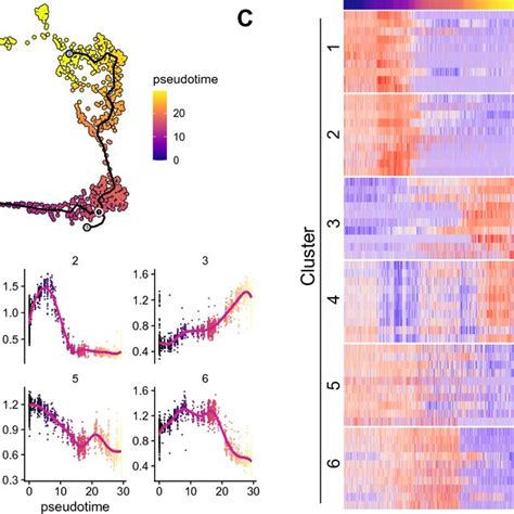 Application Of Singlecellhaystack To Sets Of Genes We Applied
