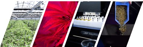 Destination Cannabis Automation Webinar