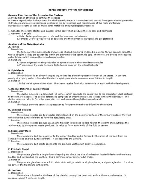 PDF Reproductive System Physiology Notes DOKUMEN TIPS PDF Reproductive System Physiology Notes DOKUMEN TIPS