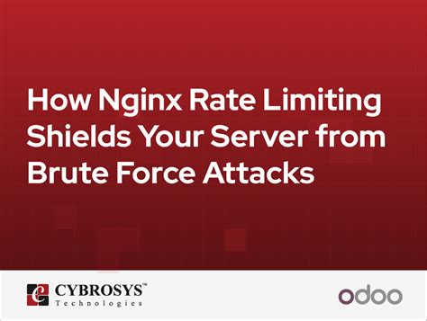 An Overview Of Odoo 17 Sales Reports