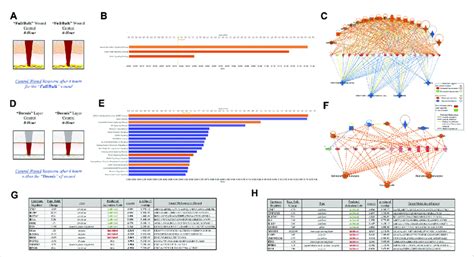 Tissue Stratification Reveals Canonical Signaling And Pathway