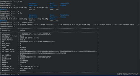 （四）vmware搭建开源openstack Ussuri版 —— Glance Csdn博客
