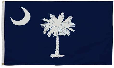 South Carolina State Flag 12 X 18 South Carolina Flag State Of