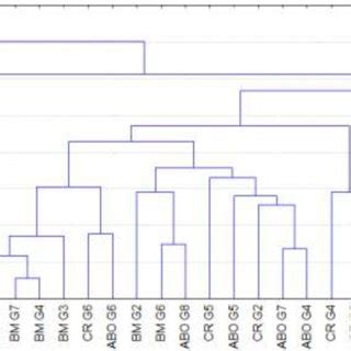 UPGMA Dendrogram Showing Genetic Similarity Between B Capitata