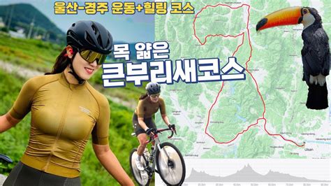울산 경주 운동힐링 코스큰부리새코스 Youtube