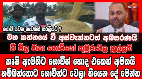 කෘෂි ඇමතිට ගොවීන් හොද එකෙන් අමතයි හම්බන්තොට ගොවීන්ට වෙලා තියෙන දේ මෙන්න ගොවි සටන නැවතත්