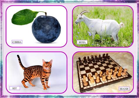 НУШ НОВА УКРАЇНСЬКА ШКОЛА методична скринька Дидактична гра Четвертий зайвий