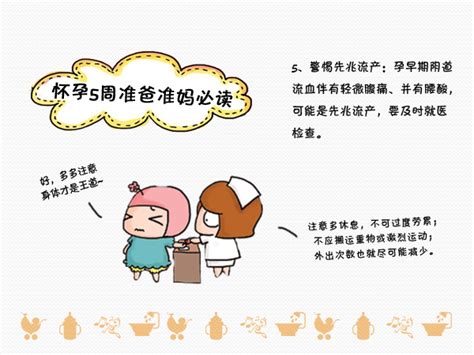 大图怀孕5周准爸妈指南 幸福妈咪 太平洋亲子网