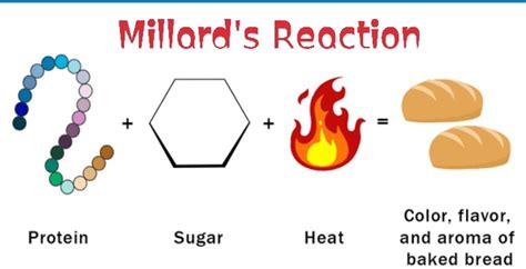 Chemistry Of Cooking
