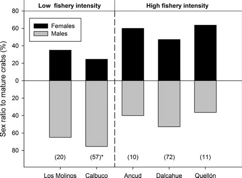 Percentage By Sex Of Metacarcinus Edwardsii Crabs Counted In Visual Download Scientific Diagram