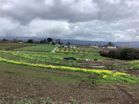 Whiskey Hill Farms Hipcamp In Watsonville California