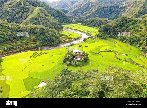 Birds Eye Drone Shot Over The Rice Terraces Of Banaue In The