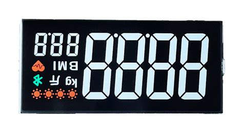 Odm Negative Transmissive Display Va Segament Lcd For Weight Meter