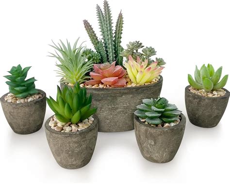 Kunstplanten Vetplanten Set Van 5 Realistische Imitatie Vetplanten