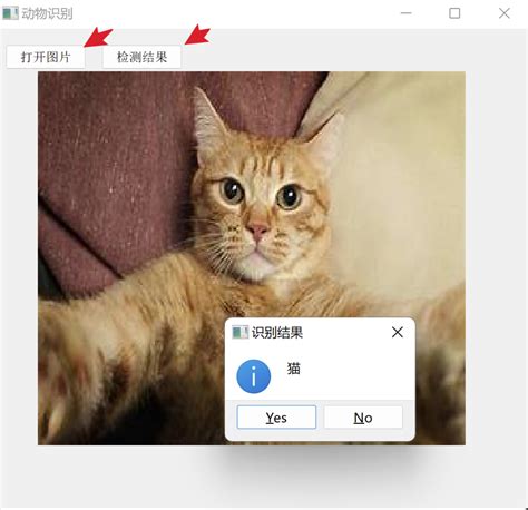 动物识别Python 腾讯云开发者社区 腾讯云