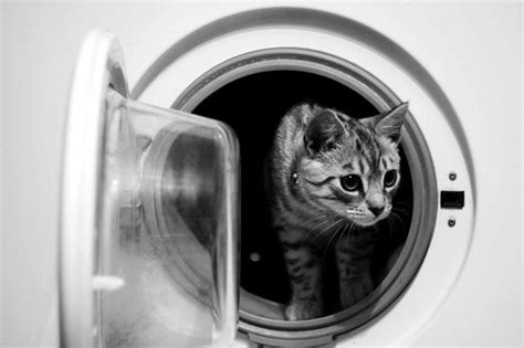 Centrifugo 2 Plans And New Real Time Messaging Library For Go By