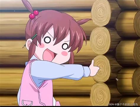 优化斐波那契数列算法：利用数组存储避免重复计算 Csdn博客