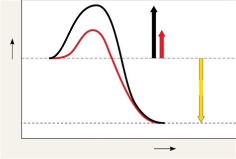 Solved Label The X Axis Of This Graph Progress Of The Chegg Com