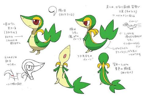Original Snivy Concept Art By Diamondreshiram On Deviantart