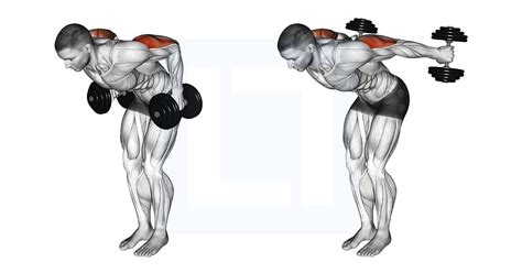 Dumbbell Standing Kickback Dumbbell Chest Workout Tricep Kickback
