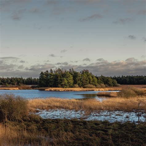 Storsund Naturreservat