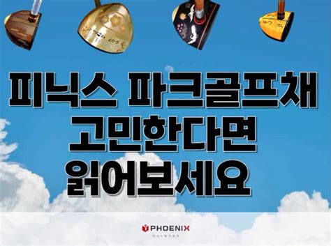 피닉스 파크골프채 고민한다면 읽어보세요 네이버 블로그